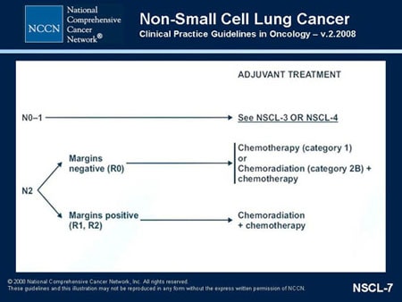 Nccn Nonsmall Cell Lung Cancer Guidelines Update Slides