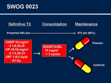 NCCN Non-Small Cell Lung Cancer Guidelines Update (Slides With Transcript)