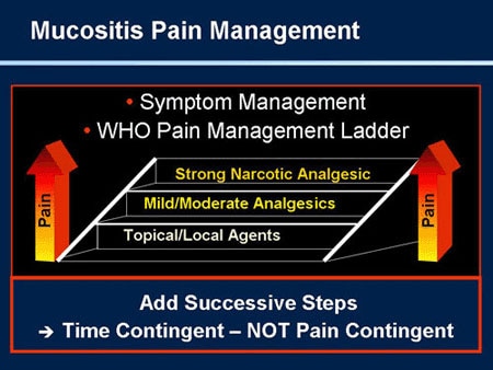 NCCN Task Force Report: Prevention and Management of Mucositis in ...