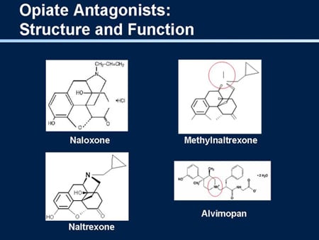 Management of Opioid-Induced Side Effects (Slides With Transcript)