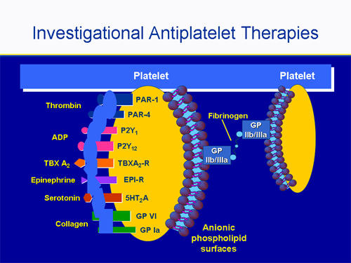 Expanded Role for Antiplatelet Therapies-Combined/Long-term Use Guidelines?