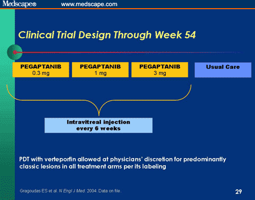 Evaluating the Options for the Treatment of AMD