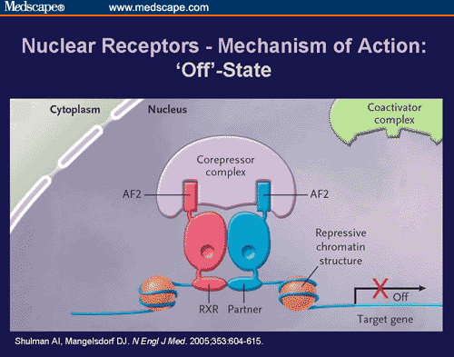 The Present and Future of the Peroxisome Proliferator-Activated Receptors