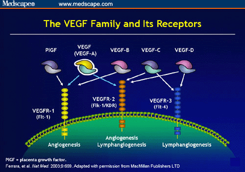 Angiogenesis Inhibition in Advanced Non-Small-Cell Lung Cancer