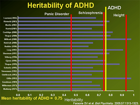 The Evolving Face of ADHD: From Adolescence to Adulthood