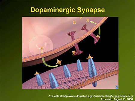 The Evolving Face of ADHD: From Adolescence to Adulthood