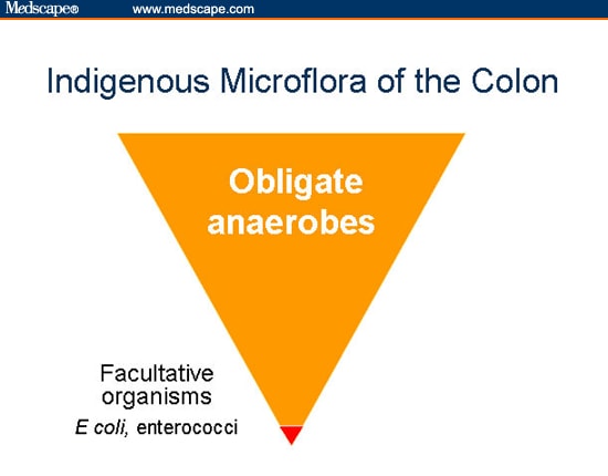 Principles and Practices of Adequate Antibiotic Therapy -- A Key Weapon ...