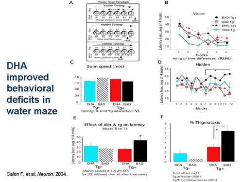 DHA and Dementia: Preserving Cognition in the Aging Patient (Slides ...