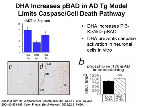 DHA and Dementia: Preserving Cognition in the Aging Patient (Slides ...