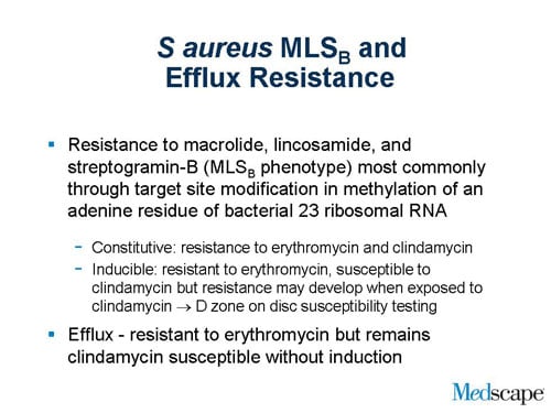 Not So Uncomplicated: Issues in the Treatment of Impetigo in the Age of ...