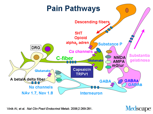 The Evolution of the Diagnosis and Management of Painful Diabetic ...