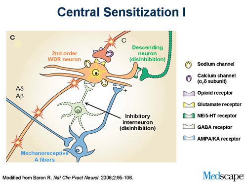 The Evolution of the Diagnosis and Management of Painful Diabetic ...