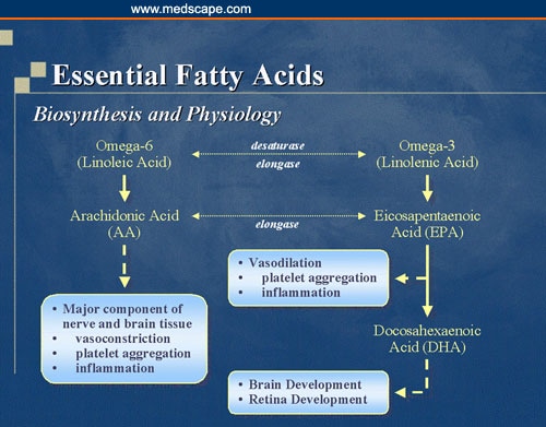 Milestones in Prenatal Nutrition: The Emerging Role of Omega-3 Fatty Acids