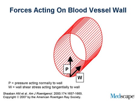 Intrinsic Regulation of Vascular Tone