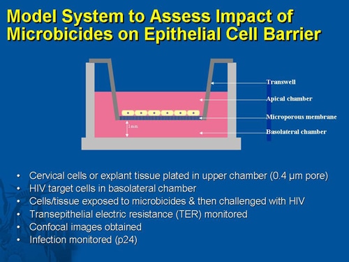 Microbicides (Slides With Transcript)