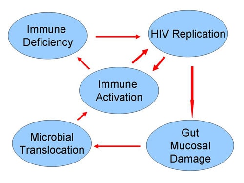 HIV Pathogenesis (Slides With Transcript)