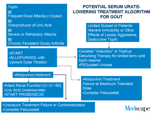Treating Chronic Gout: The Challenges of Lowering Serum Urate Levels