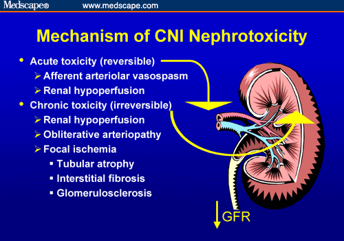 Renal Dysfunction Following Liver Transplantation
