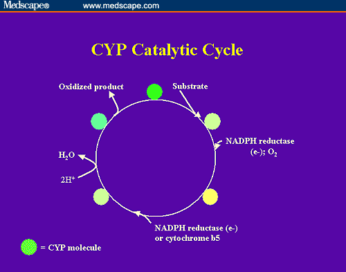 Drug Interactions With Immunosuppressive Agents