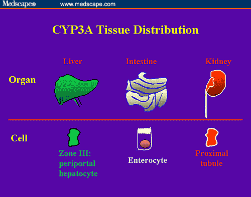 Drug Interactions With Immunosuppressive Agents