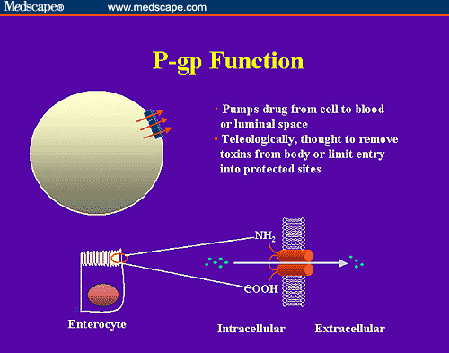 Drug Interactions With Immunosuppressive Agents