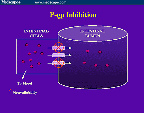 Drug Interactions With Immunosuppressive Agents