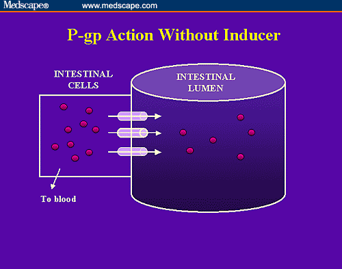 Drug Interactions With Immunosuppressive Agents