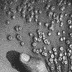 Smallpox Update - Page 4