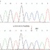 Typical Progression of Myoclonic Epilepsy of the Lafora Type: A Case ...