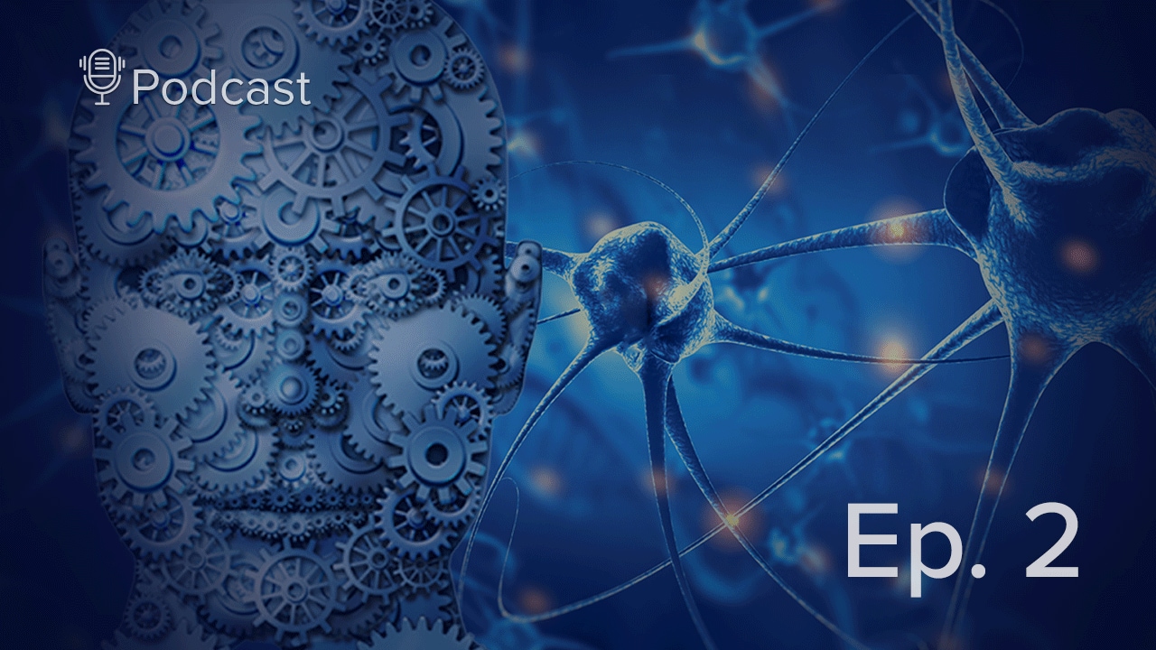 Omental (Graham) Patch Technique: Standard Approach, Variations on ...