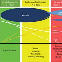 Crimean-Congo Hemorrhagic Fever Virus for Clinicians--Epidemiology ...