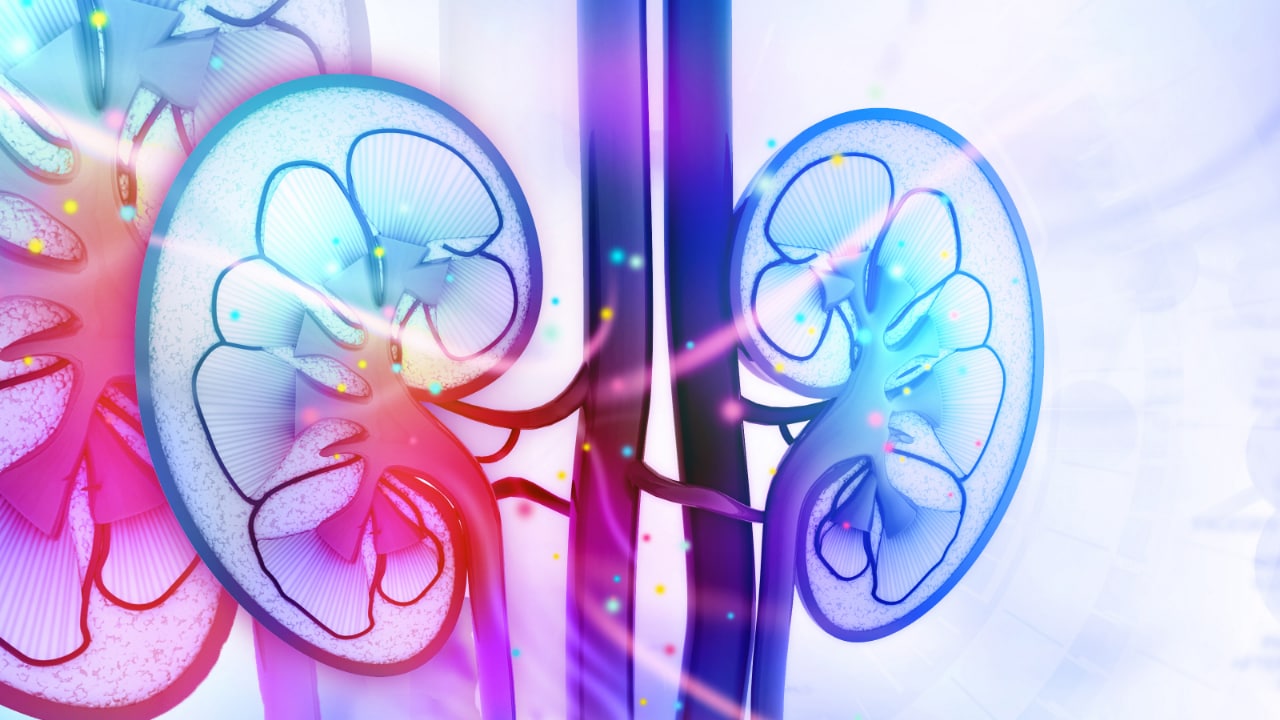 Azasan, Imuran (azathioprine) dosing, indications, interactions ...