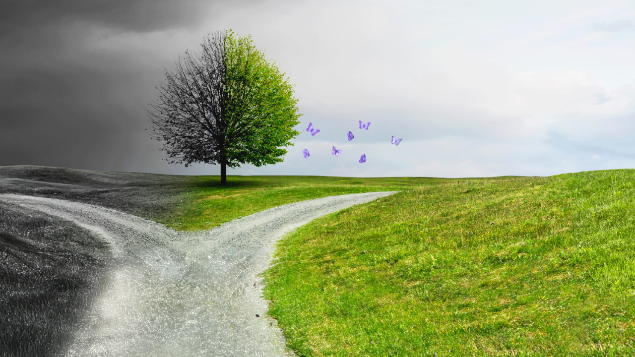 Prednisone Intensol (prednisone) dosing, indications, interactions ...