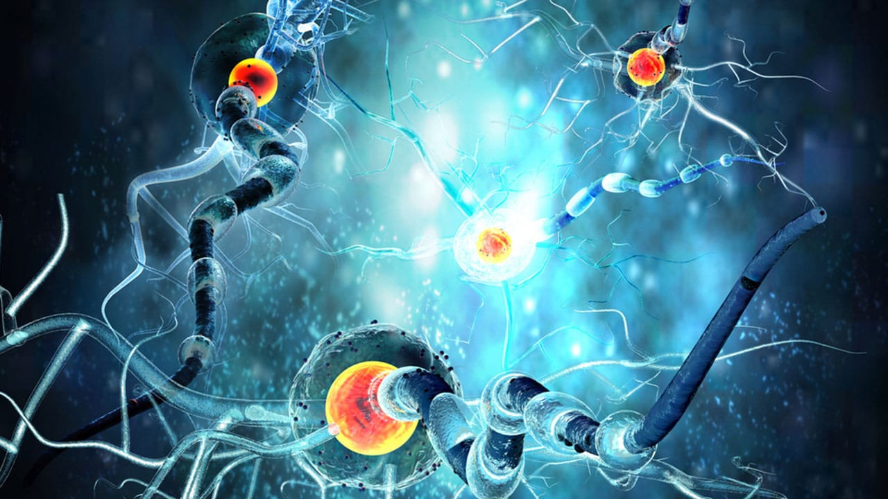 Peripheral Nerve Stimulator - Train of Four Monitoring: Overview ...