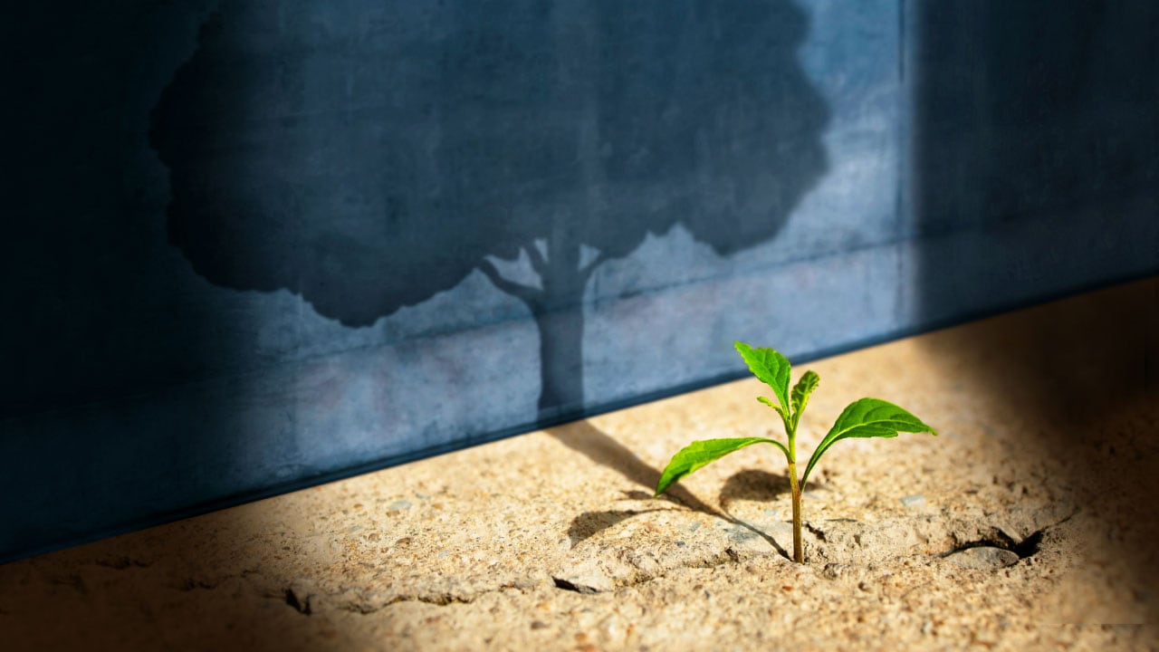 Decadron, Dexamethasone Intensol (dexamethasone) dosing, indications ...