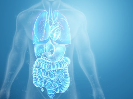 Trental, Pentoxil (pentoxifylline) dosing, indications, interactions ...