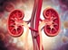 Utilizing the Latest Advances in Dialysis-Dependent Chronic Kidney Disease Anemia Management