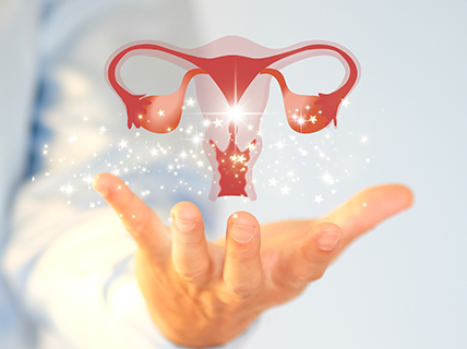 Pelvic Exenteration: Overview, Preparation, Technique