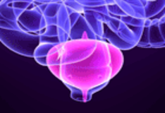 Ifex (ifosfamide) dosing, indications, interactions, adverse effects ...