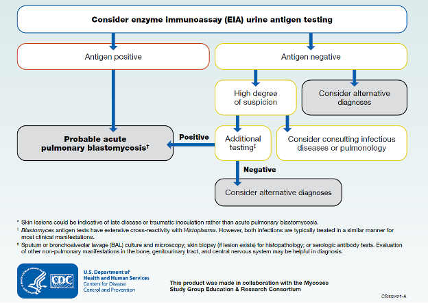 Three Cases of Community-Acquired Pneumonia - Page 3