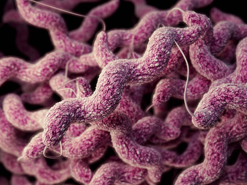What Foods Are Making People Sick? Recent Major Outbreaks