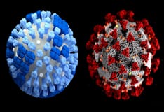 Fluzone, Afluria (influenza virus vaccine trivalent) dosing ...