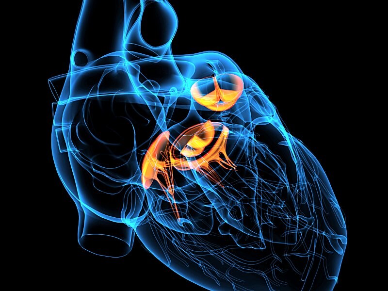 European Society of Cardiology (ESC) Congress 2014