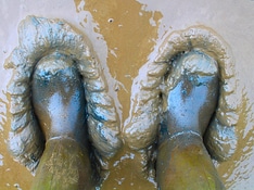 Regranex Gel (becaplermin) dosing, indications, interactions, adverse ...