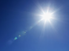 Drisdol, Calciferol (vitamin D) dosing, indications, interactions ...