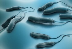 Avycaz (ceftazidime/avibactam) dosing, indications, interactions ...