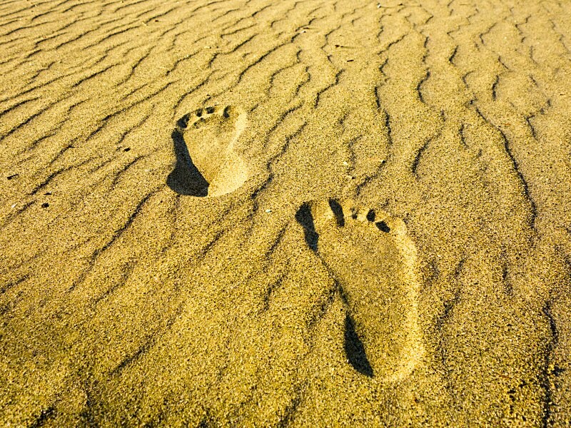 Heart Rhythm Society (HRS) 2016 Scientific Sessions