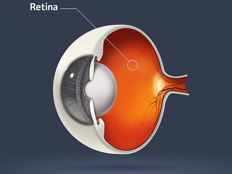 American Society of Retina Specialists (ASRS) 2016 Annual Meeting