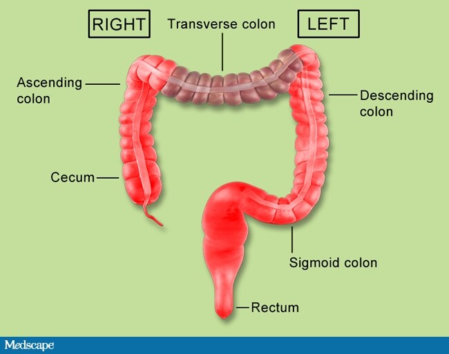 Left Vs Right Difference In CRC Now Practice Changing 