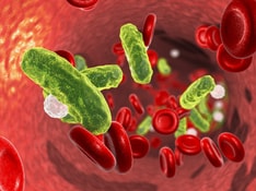 Theo 24, Theocron (theophylline) dosing, indications, interactions ...
